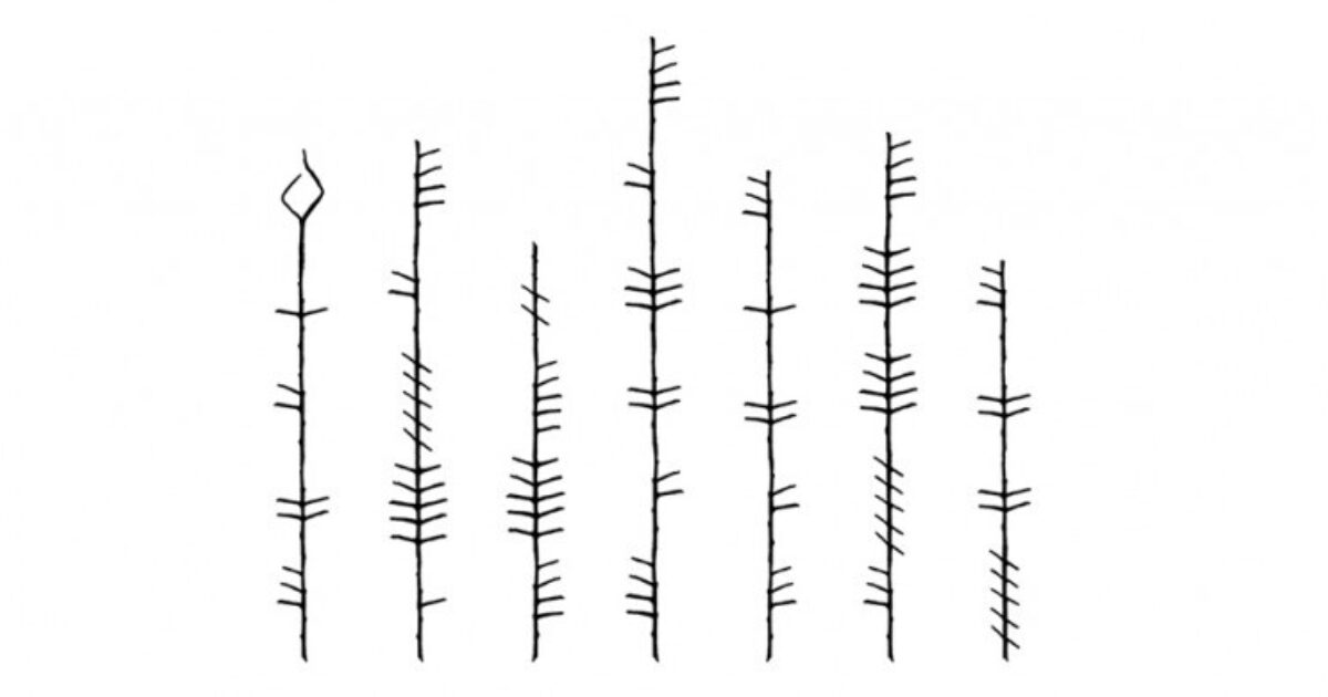 Irish Tree Alphabet - VISUAL